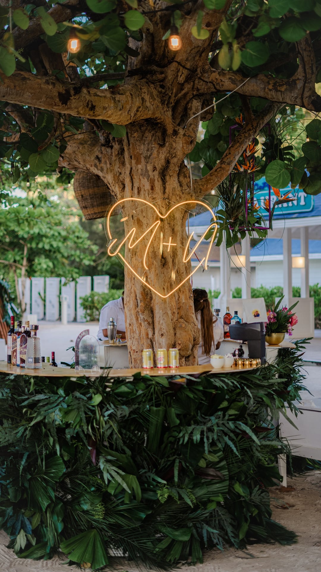 Marry in the Caribbean | Roatan Events